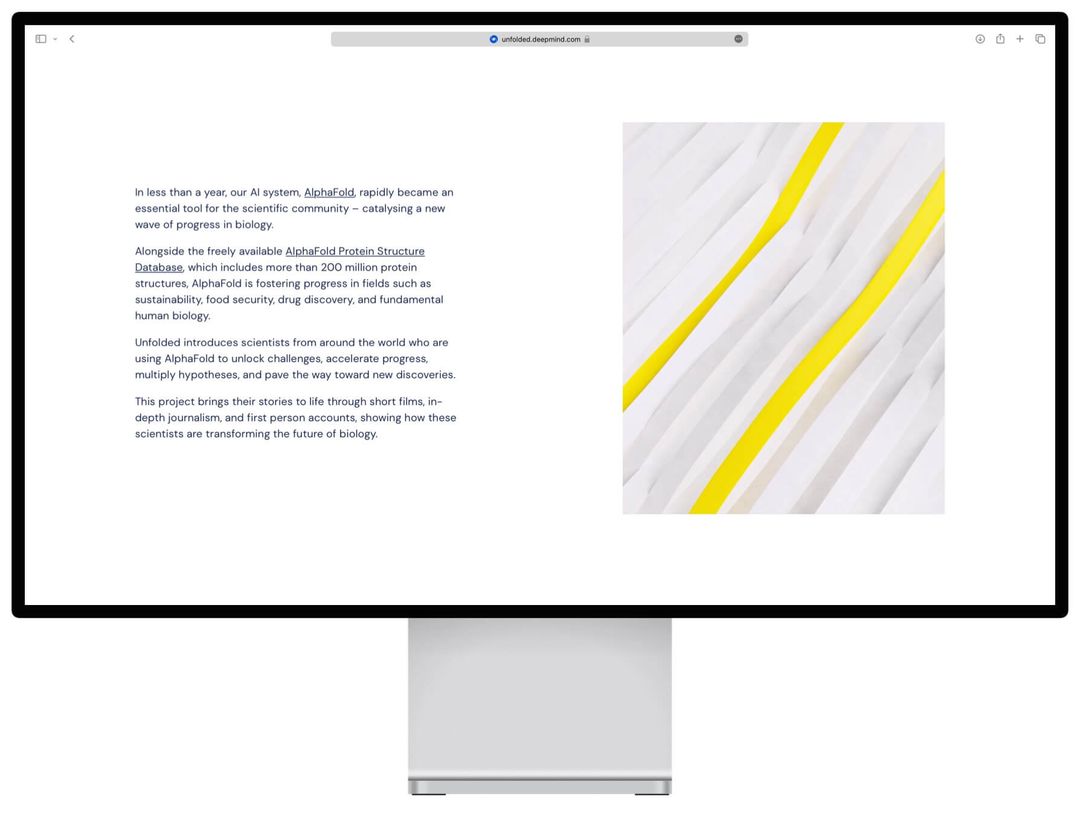 Moritz Petersen - The Webflow Expert