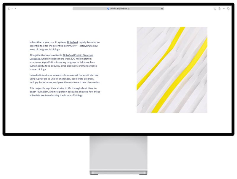Moritz Petersen - The Webflow Expert