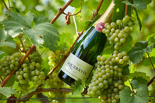 Squerryes winemaking Sevenoaks steeped in history
