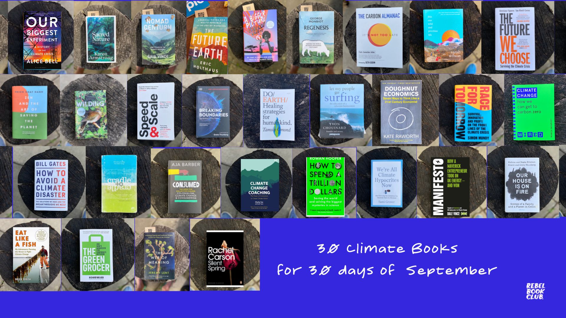 30 Books on Tackling Climate Change