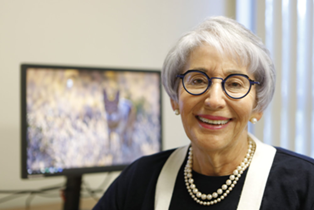 An Experienced, Committed & Reliable Team | Jensen Steel Fabricators