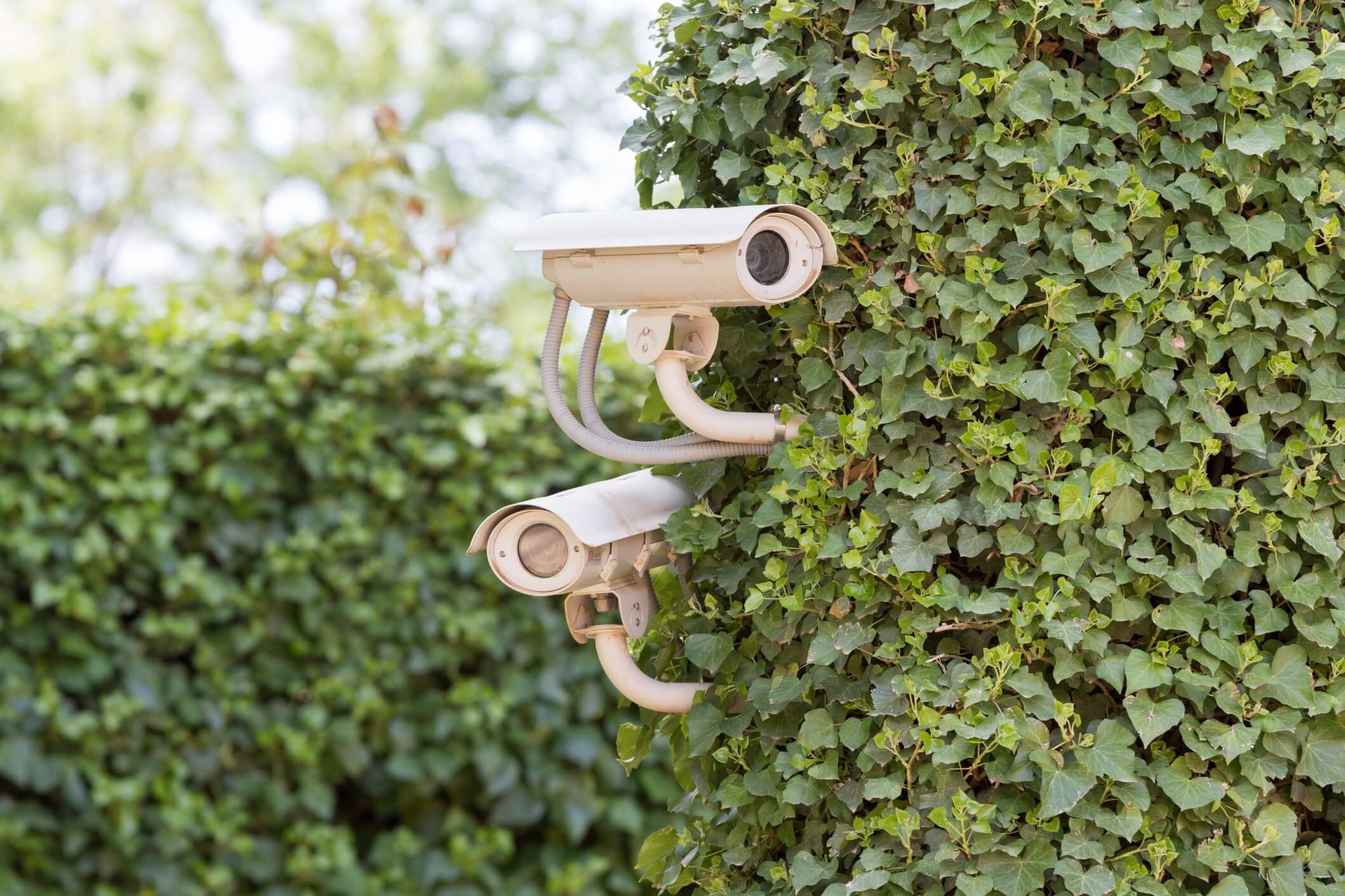 Home - Harms Dienstverlening