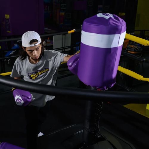 BotBoxer | Smart Boxing Machine for an Ultimate Workout