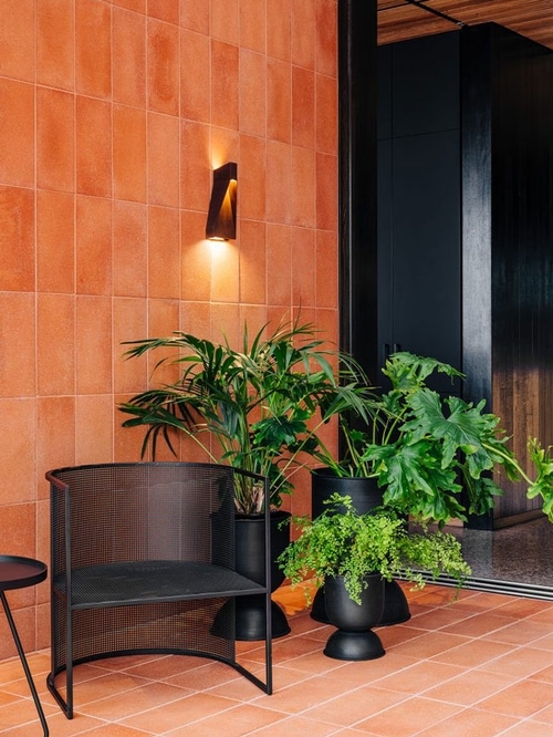 Standley by Jon Goulder