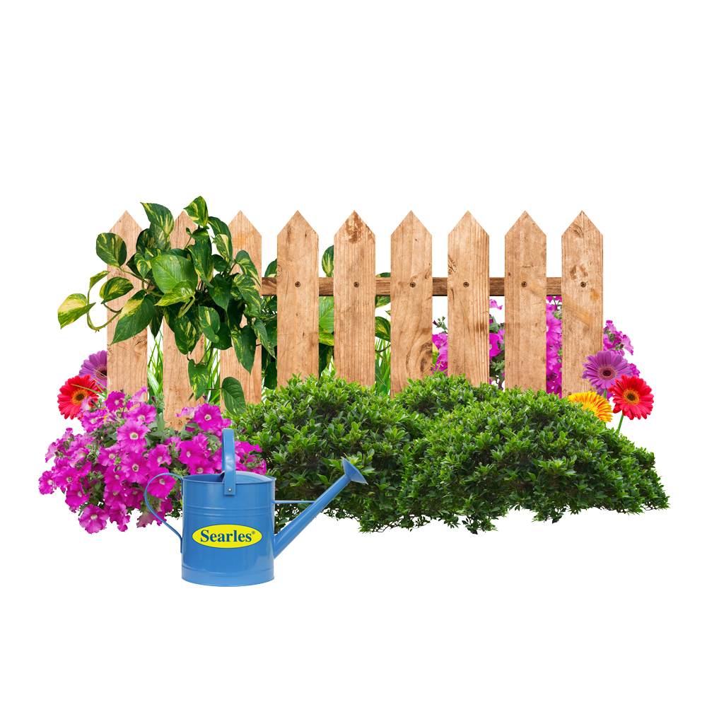 Grow Now | Find Seasonal Plants by Climate Zone | Searles
