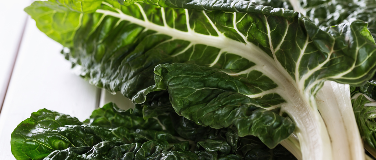 Searles | How to Grow Spinach / Silverbeet