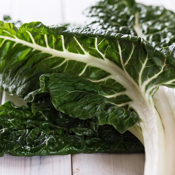 Searles | How to Grow Spinach / Silverbeet