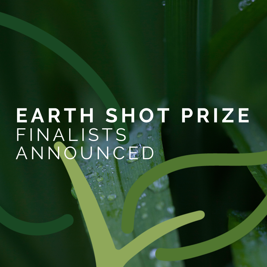 Earth Shot Prize 2022 Finalists Announced - Blog - Lifelia