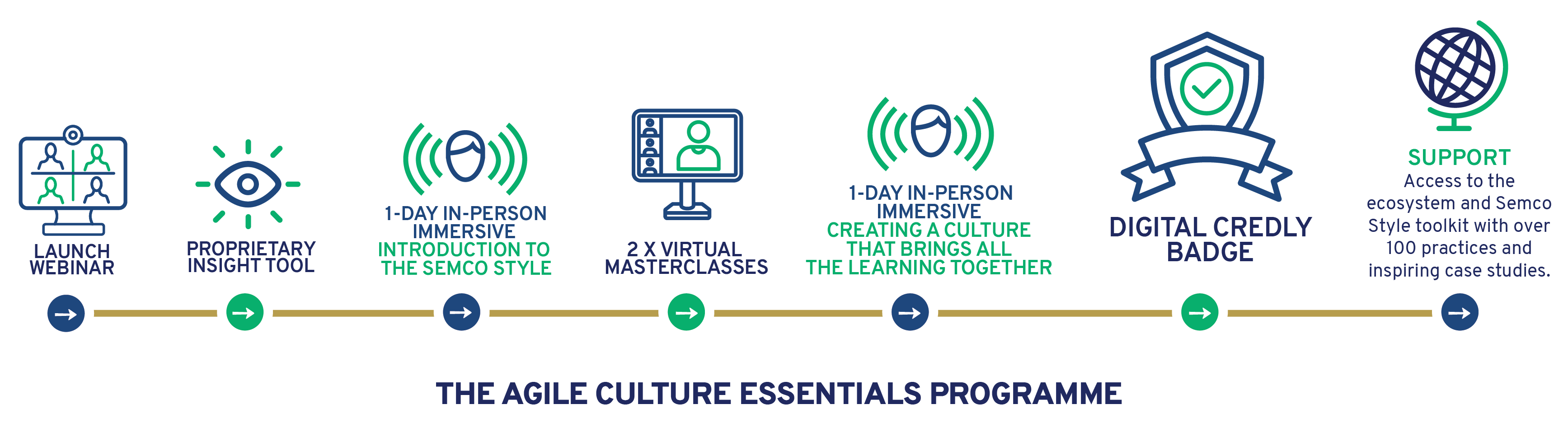 Agile Culture Essentials Programme (SSI UK)