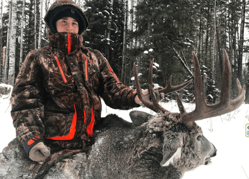 Classic Northern Alberta Trophy Whitetail Hunt in 220 Miles North of ...