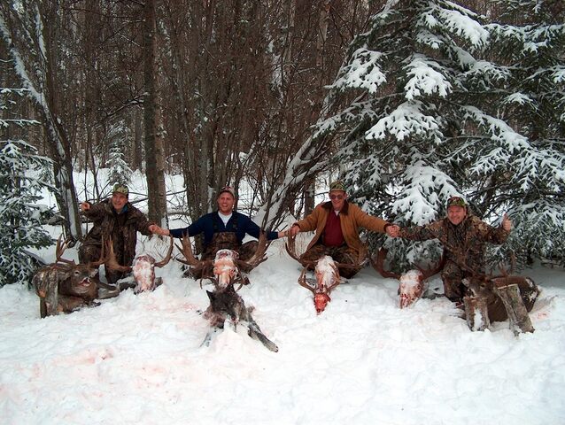 Predator Hunting - Shoshone Adventures