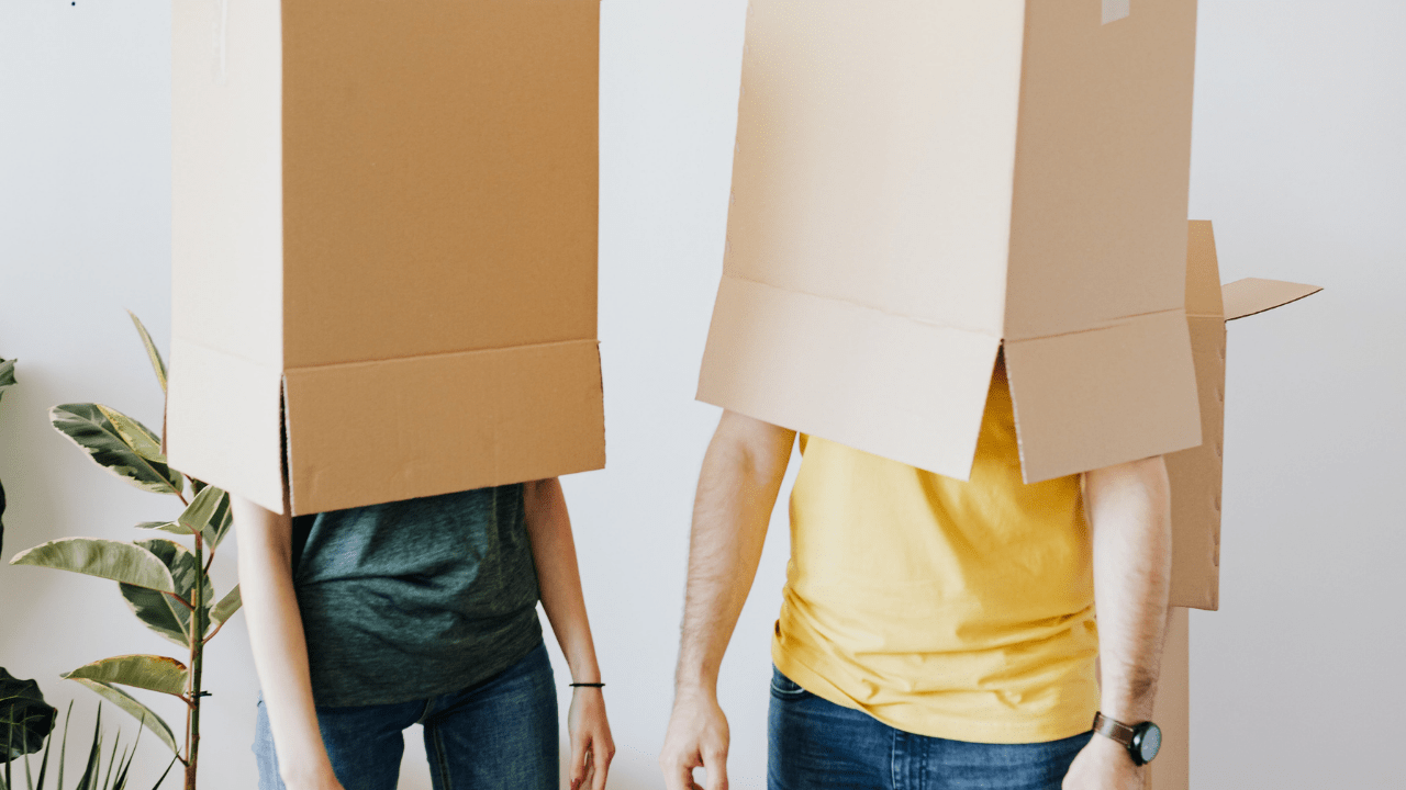 Oktagon: E-handel med WooCommerce, Magento 2 & Shopify