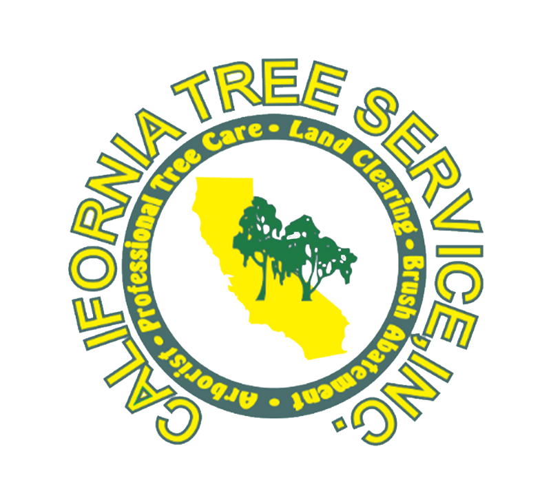 Home [www.caltreeservice.com]