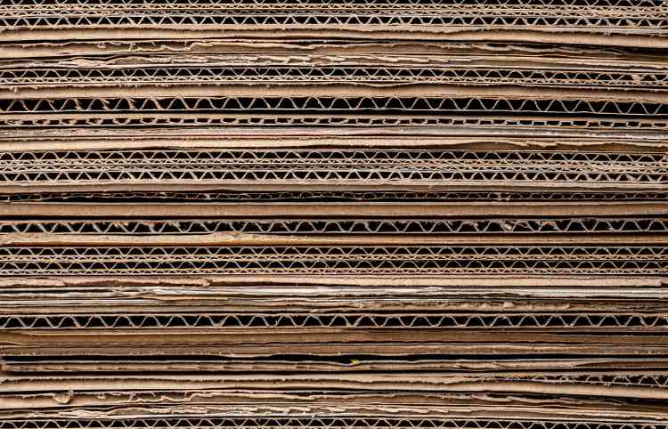 The Lazy Person’s Guide to Saving the World | 56 Tips from the United ...