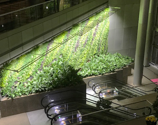 Rosslyn High Rise Gets 2nd-Biggest Active Green Wall - WTOP