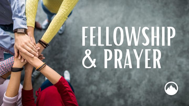 Summit Church | Connect Groups