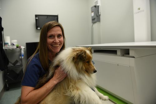 High-Quality Vet Hospital in Summerville, SC | Cane Bay Veterinary Clinic