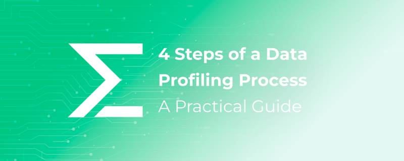 Master the Data Profiling Process: 4 Steps to Improve Data Quality