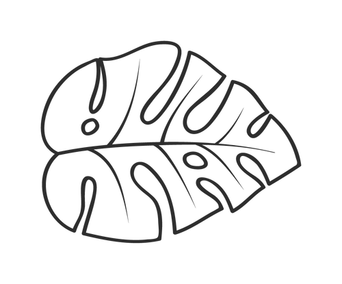 Meet the Team | Lush Dental Heights