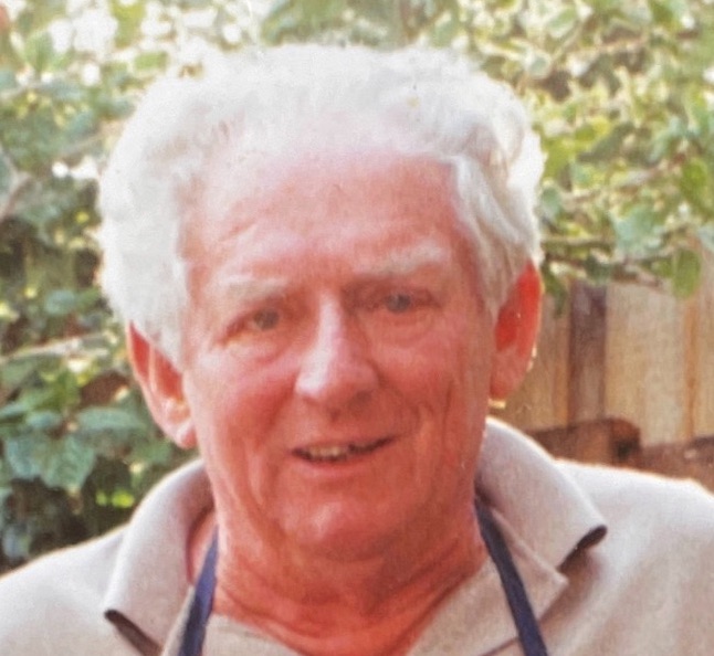 Stanley Gordon Greenham | Vivid Stream