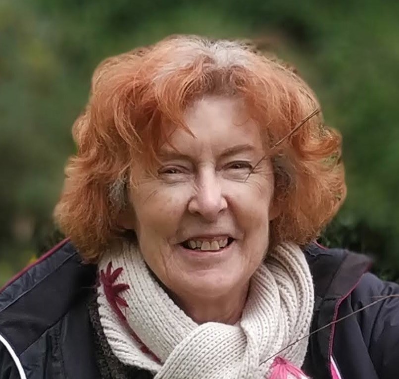 Elizabeth 'Ann' Johnstone | Vivid Stream