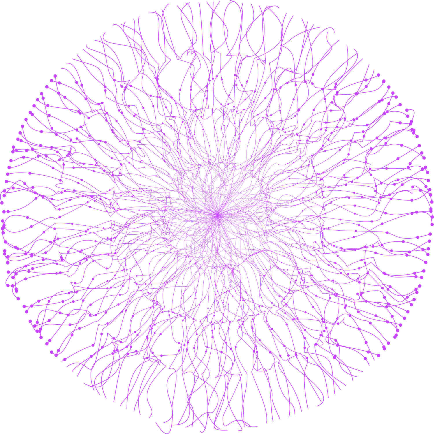 Connection Experience