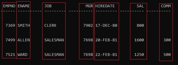 Database Basics: Concepts & Examples for Beginners - Lido.app