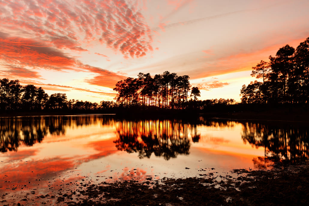 Excursión por los Everglades de Miami