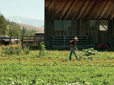 Butte Food Co-Op: Timeline and Key Milestones