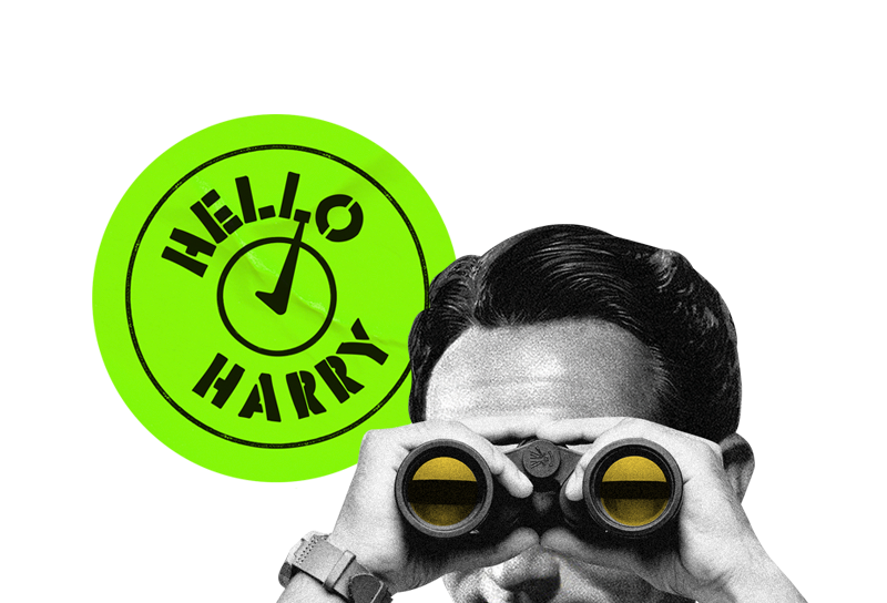 Franchise | Hello Harry