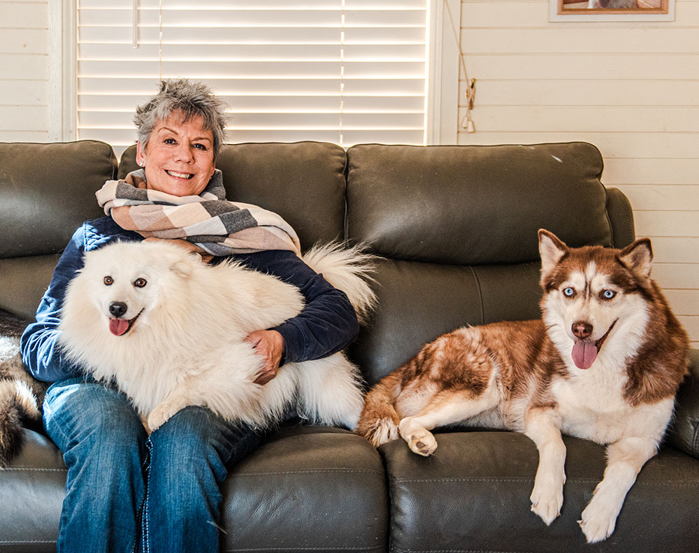 About Us - Brindabella Pomskies & Spitzskies | Siberian Husky, Japanese ...