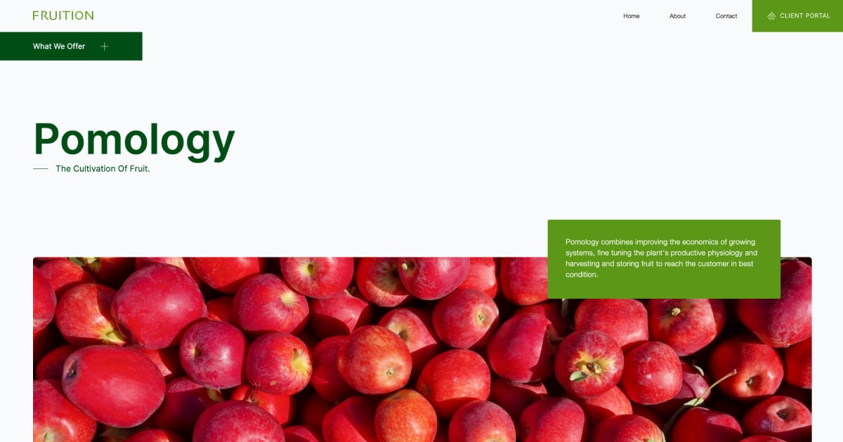 Pomology | Fruition Hawke"s Bay