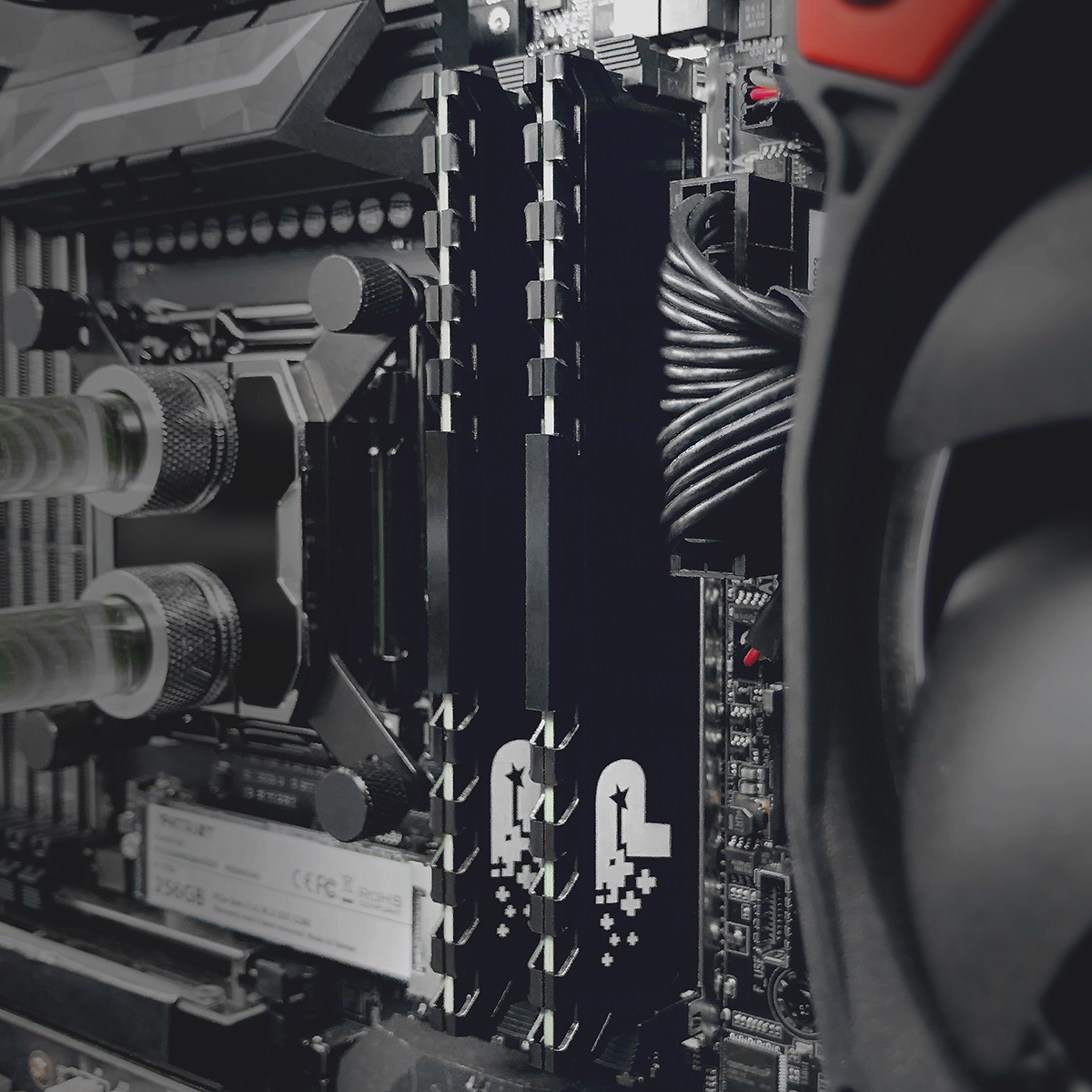 Patriot Signature Line Premium DDR4 Computer Memory | Patriot Memory