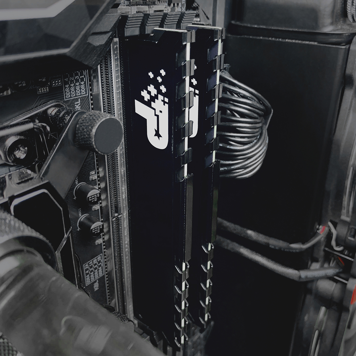 Patriot Signature Line Premium DDR4 Computer Memory | Patriot Memory
