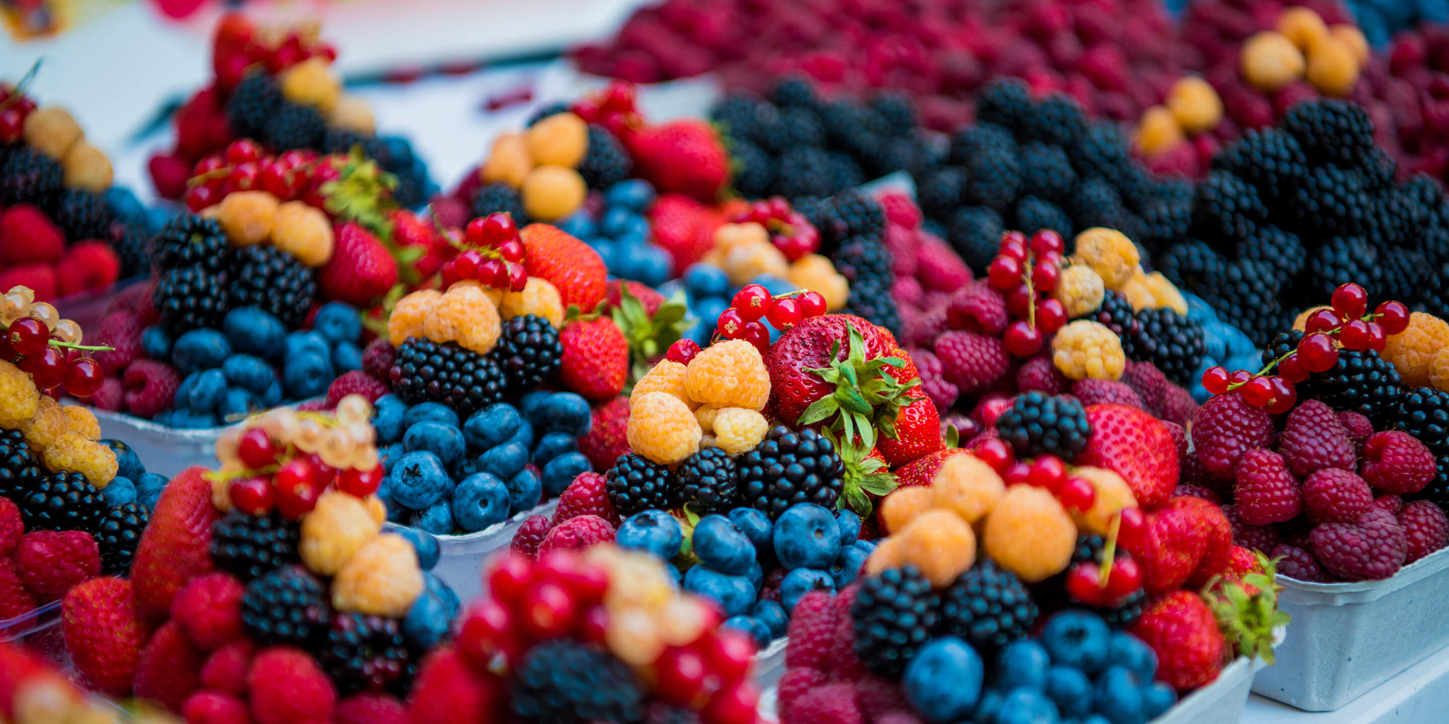 Berries at Hazel Technologies