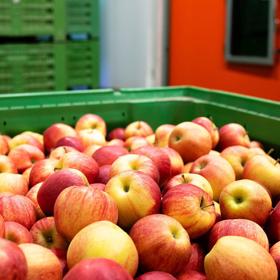 Hazel Datica™ from Hazel Technologies