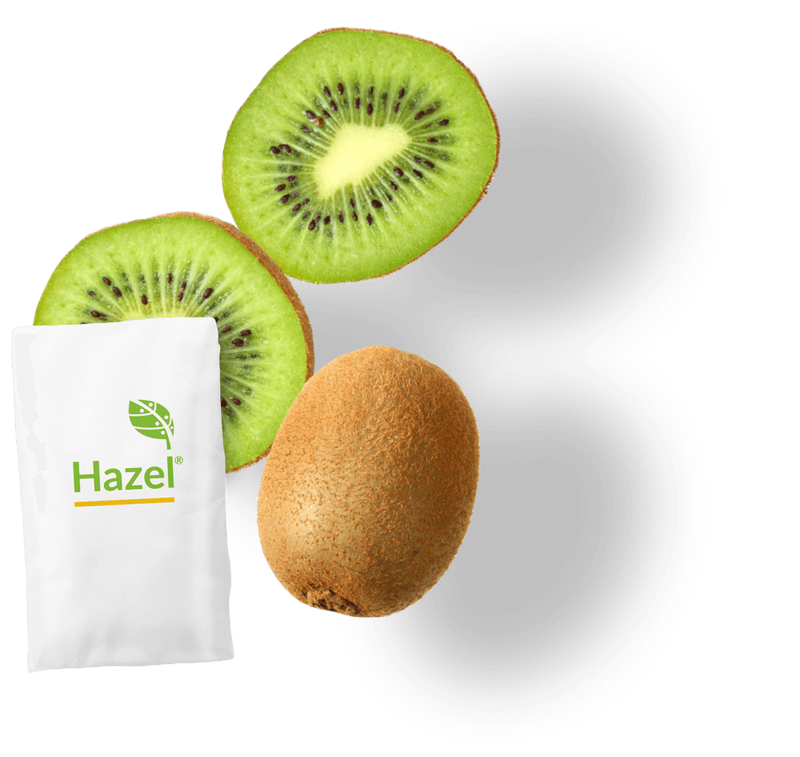 Hazel 100™ from Hazel Technologies