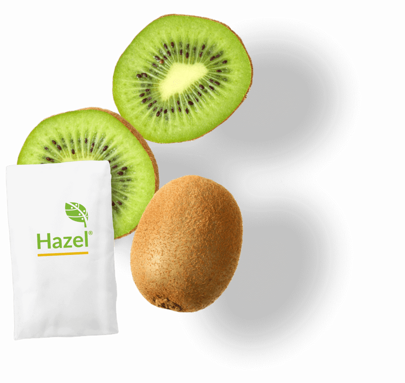 Hazel Technologies, Inc.