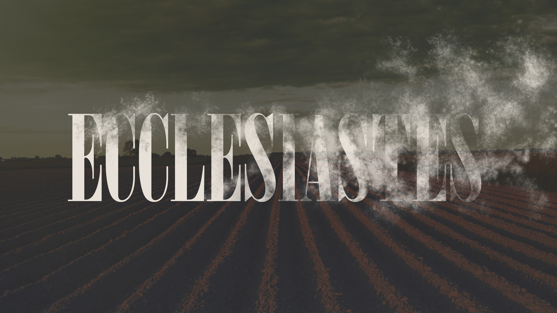 The Contrast of Wisdom and Folly