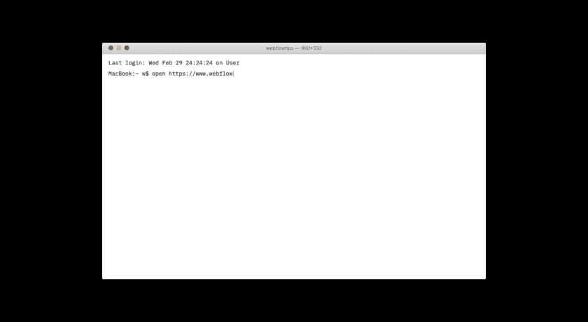 Webflowtips Typing Terminal Green 