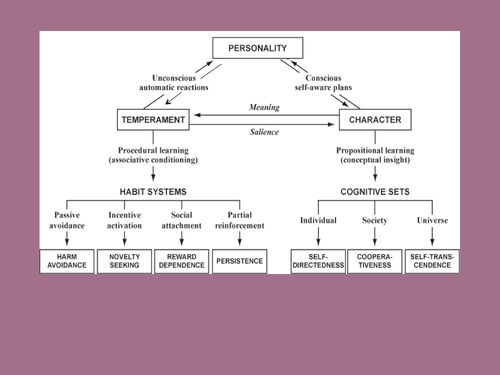 TCI Training Programs | Clinicians | Researchers | Anthropedia