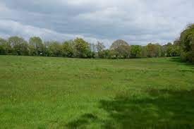 Hackpen Natural Burial Ground - Cullompton Devon | Amanda-Louise ...