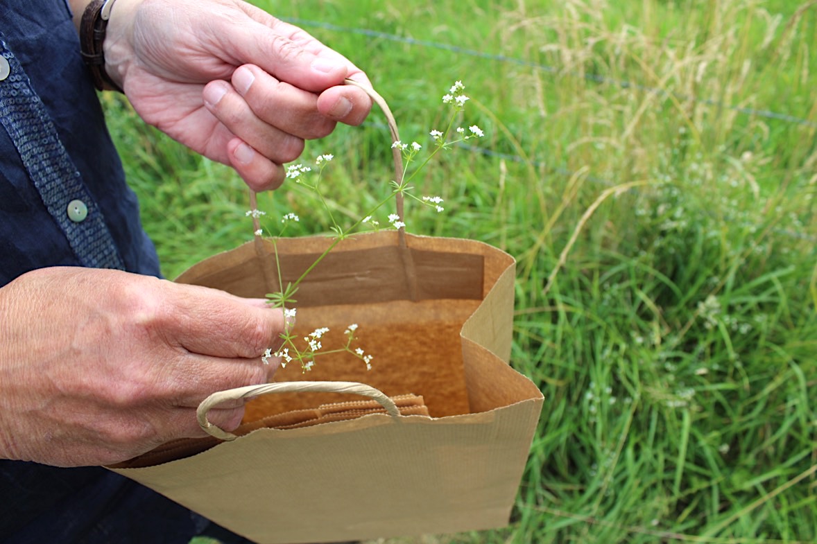 Liefs uit Limburg - Een wandeling langs Limburgse kruiden