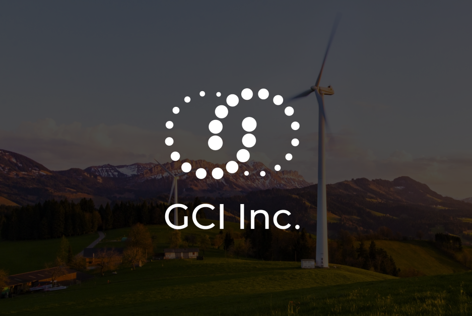 Company Overview - GCI Holdings