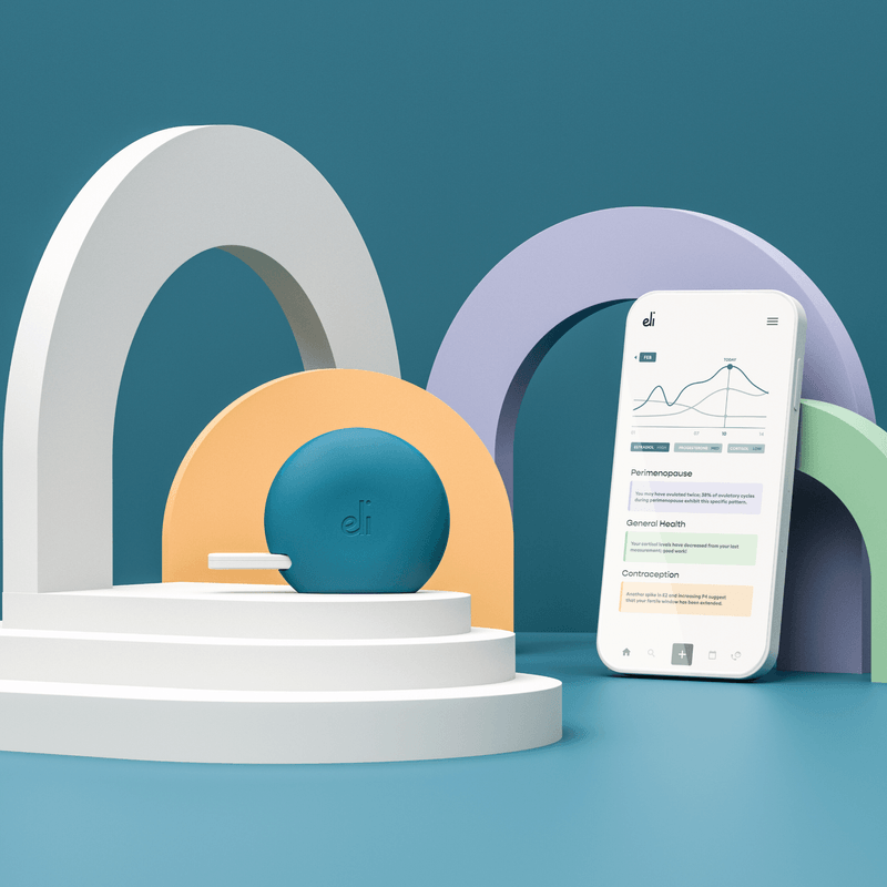 Cake Ventures | Powered by Builders