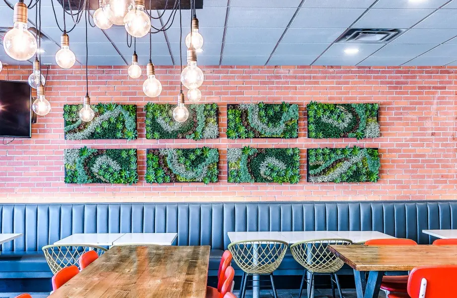 Nooki Sushi | A-Line Designs