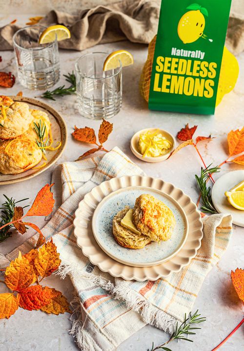 Recipes | Wonderful Seedless Lemons