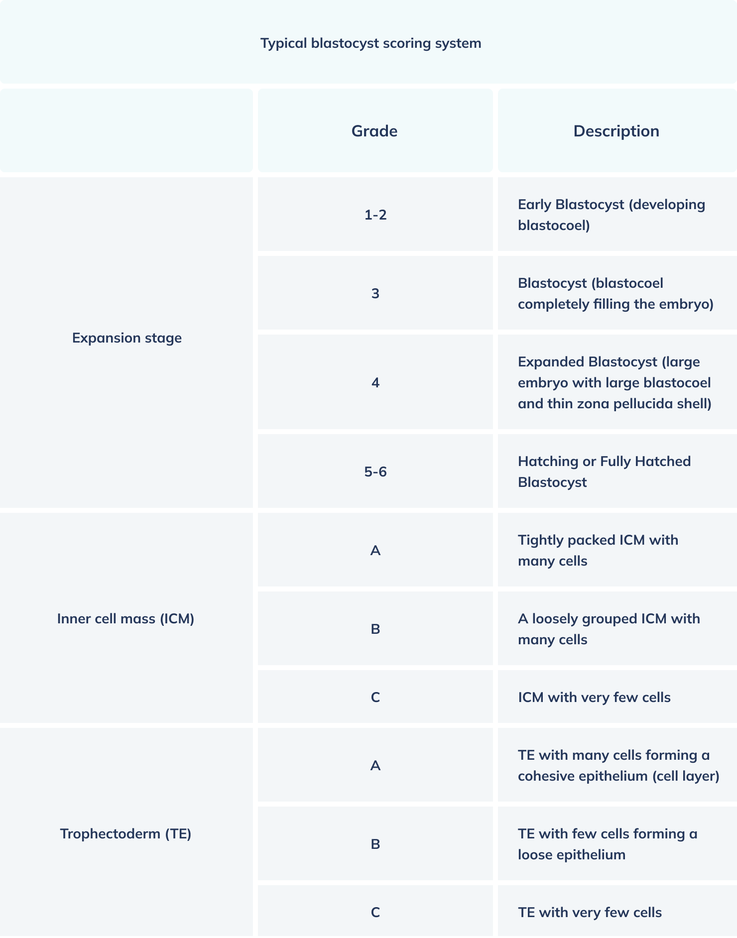 Embryo Grading & How It's Done | Fertilitywise