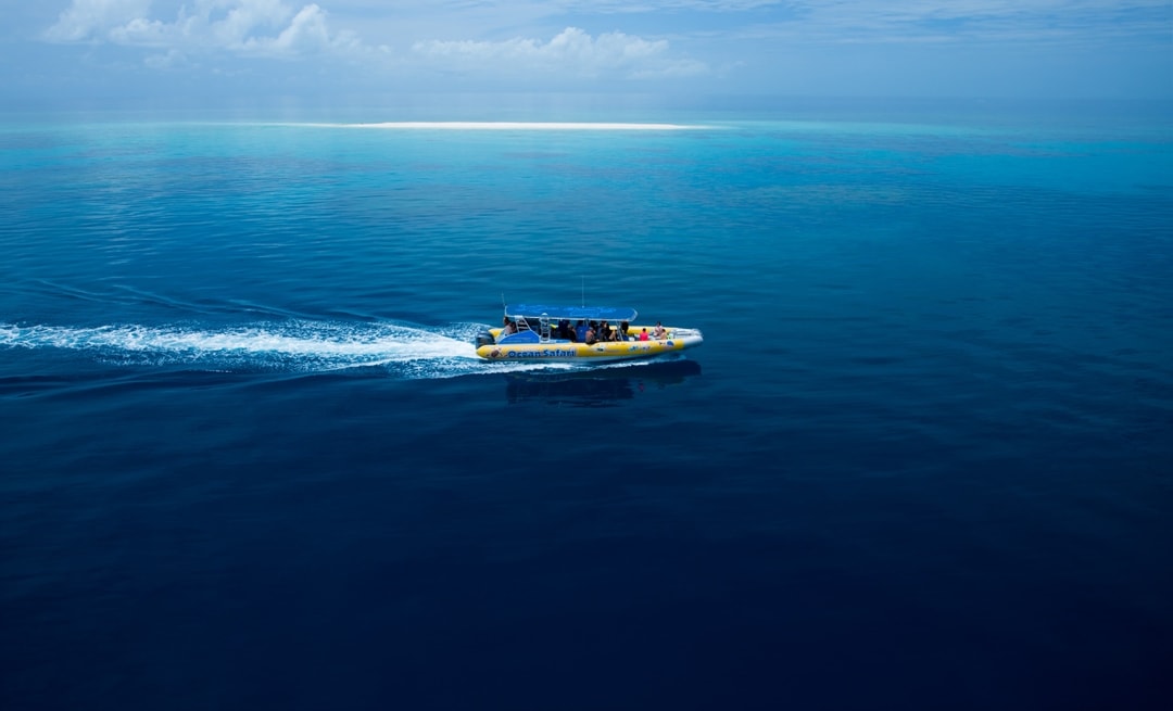 Best Daintree Rainforest Trips & Tours