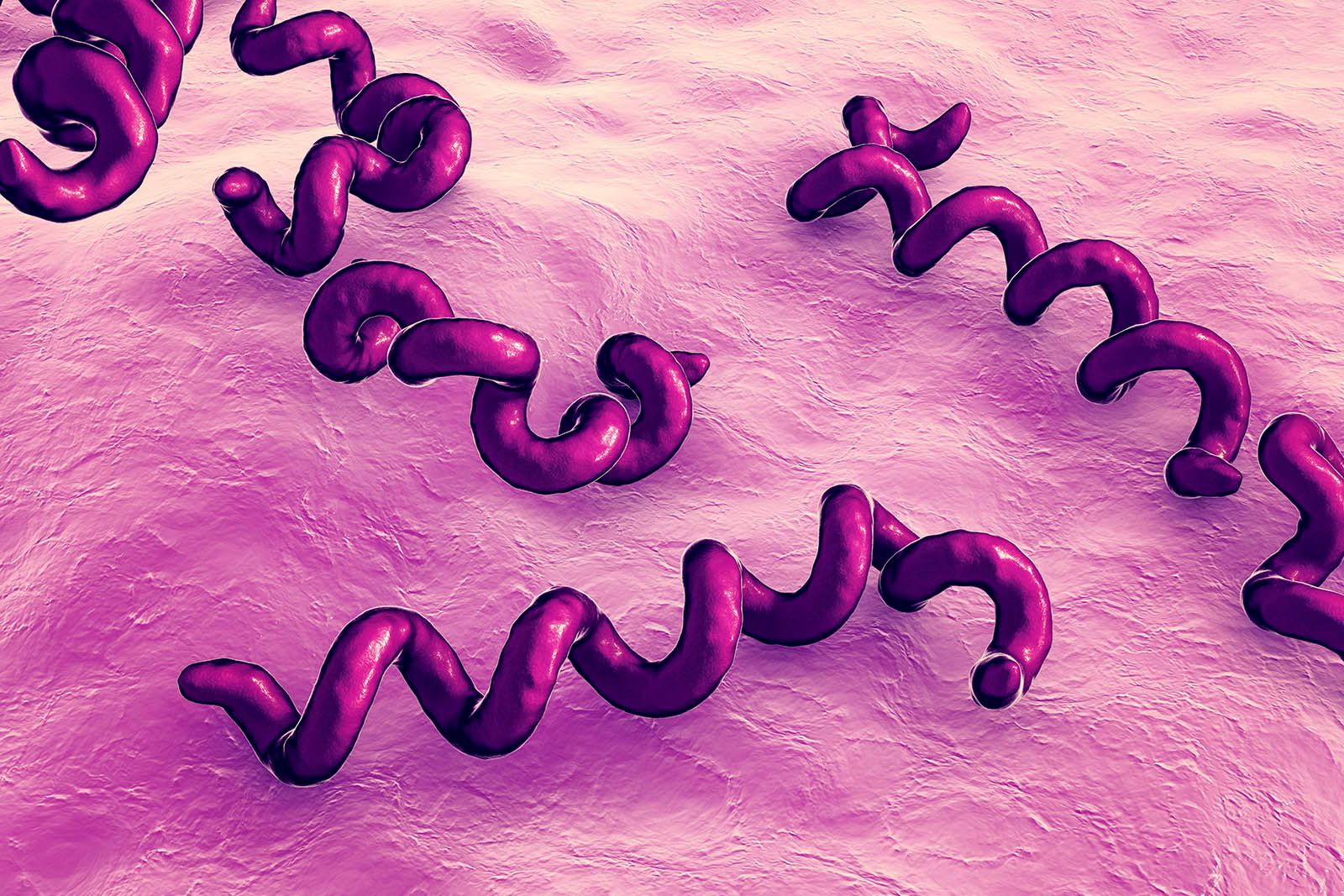 What is Syphilis? Important information about sexual health in the ...